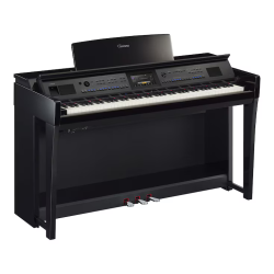 Keyboards and Pianos